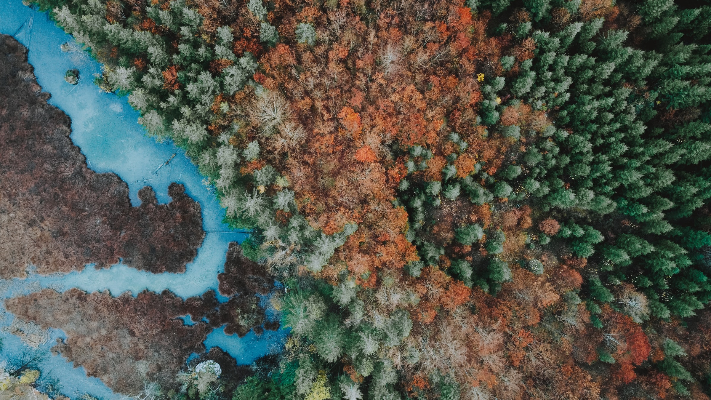 Understanding Eco-Anxiety - Heather Hayes & Associates Understanding Eco-Anxiety - Heather Hayes & Associates